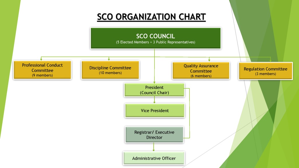Organization Chart - Saskatchewan College of Opticians